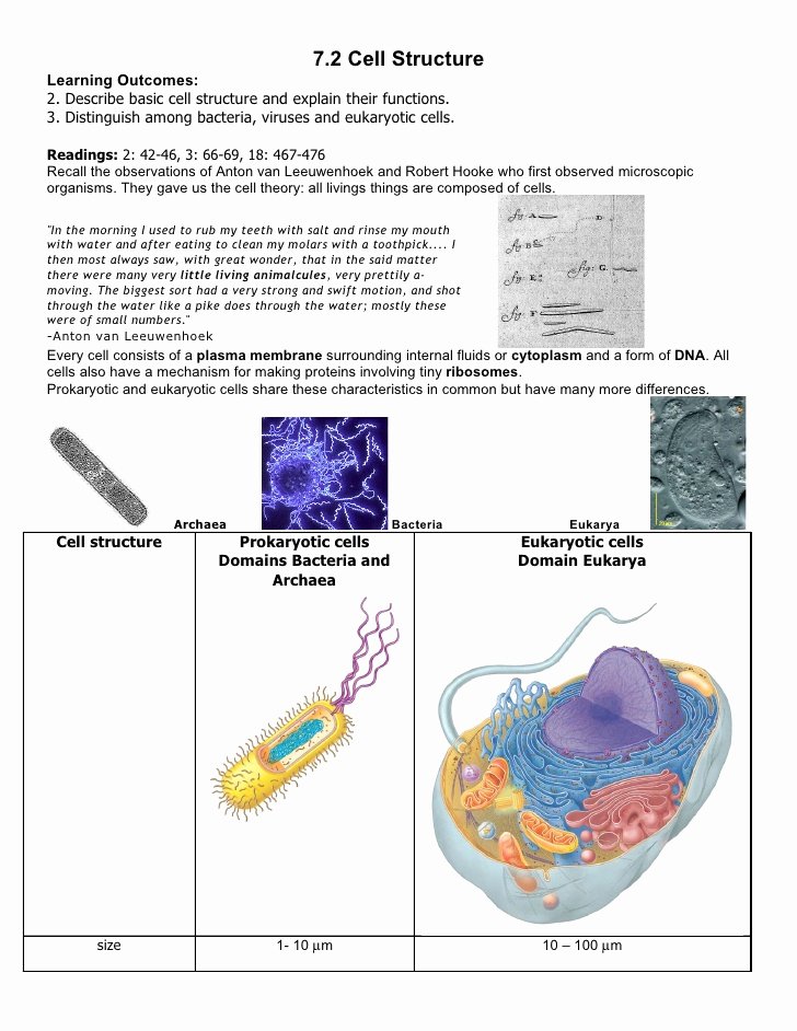 50 7 3 Cell Transport Worksheet Answers 50 7 3 Cell Transport Worksheet Answers