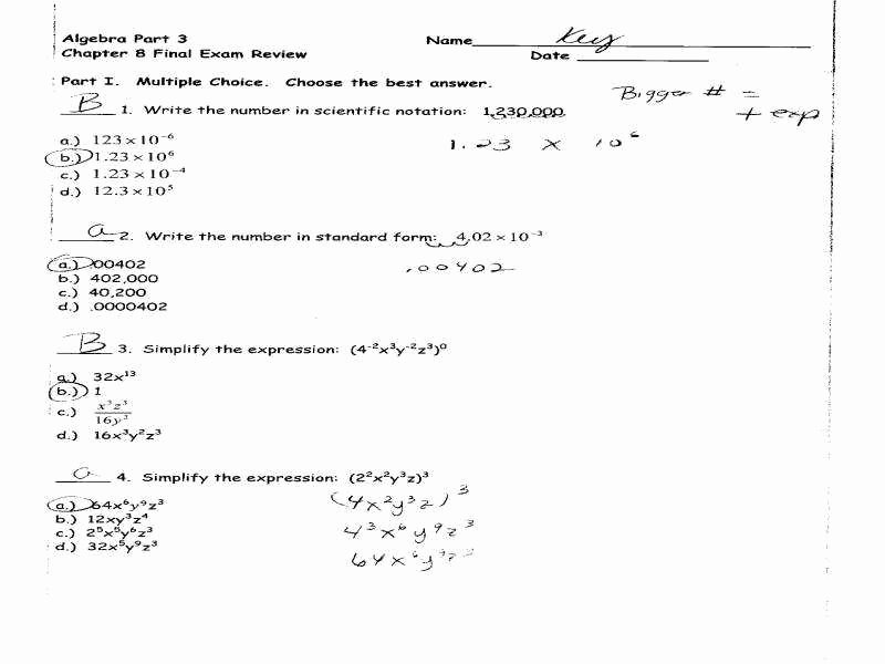 50 Algebra 1 Review Worksheet