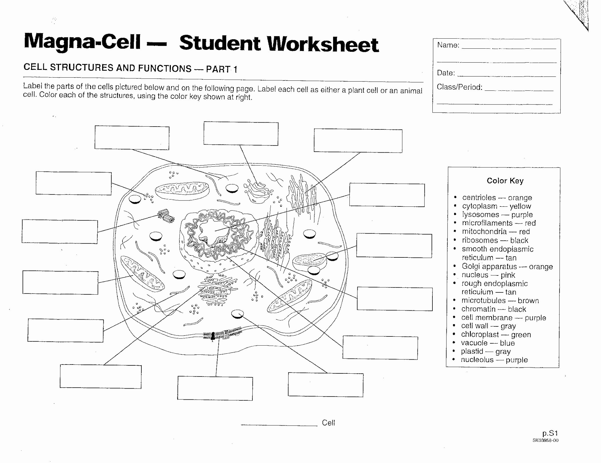 50 Animal Cells Worksheet Answers 50 Animal Cells Worksheet Answers