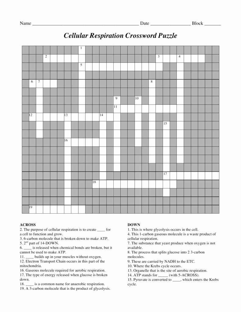 50 Atp Worksheet Answer Key 50 Atp Worksheet Answer Key