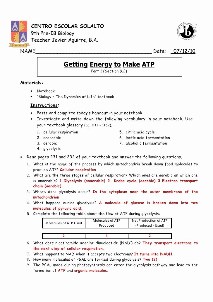 50 Atp Worksheet Answer Key 50 Atp Worksheet Answer Key