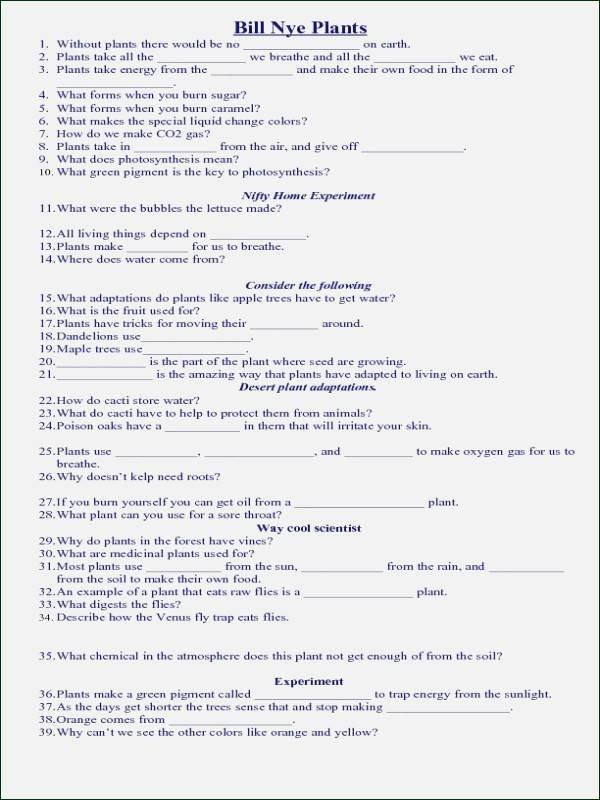 50 Bill Nye Chemical Reactions Worksheet 50 Bill Nye Chemical Reactions Worksheet