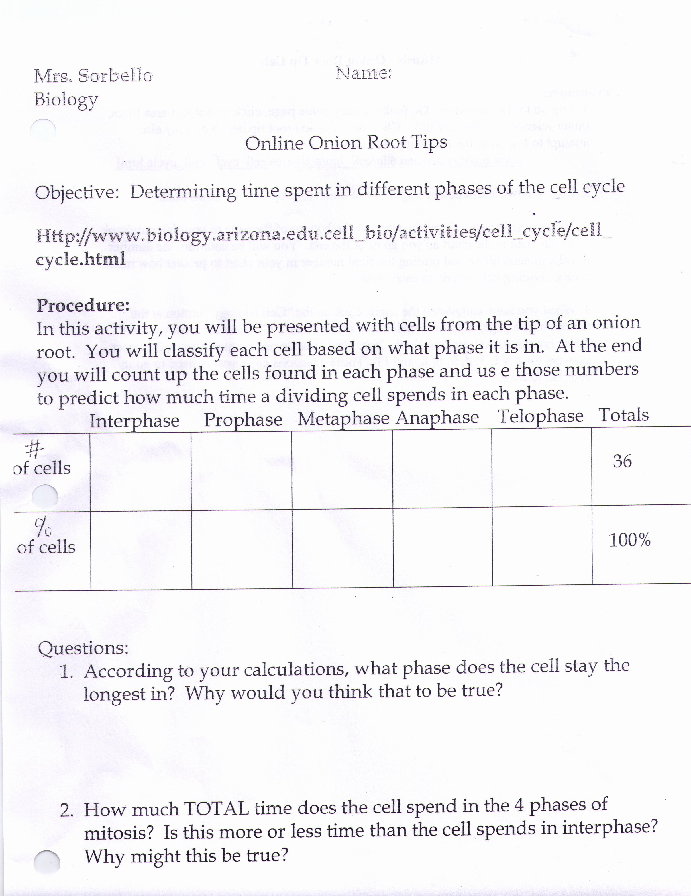 46 Cell Division Worksheet Answers Chessmuseum Template Library