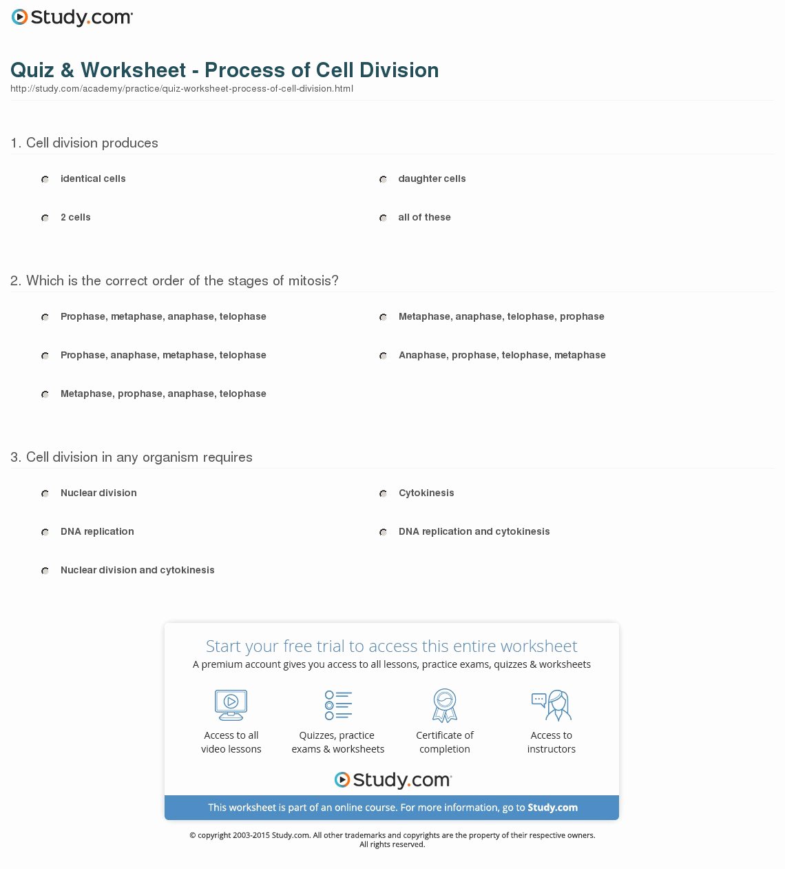 Worksheet On Cell Division Worksheet On Cell Division