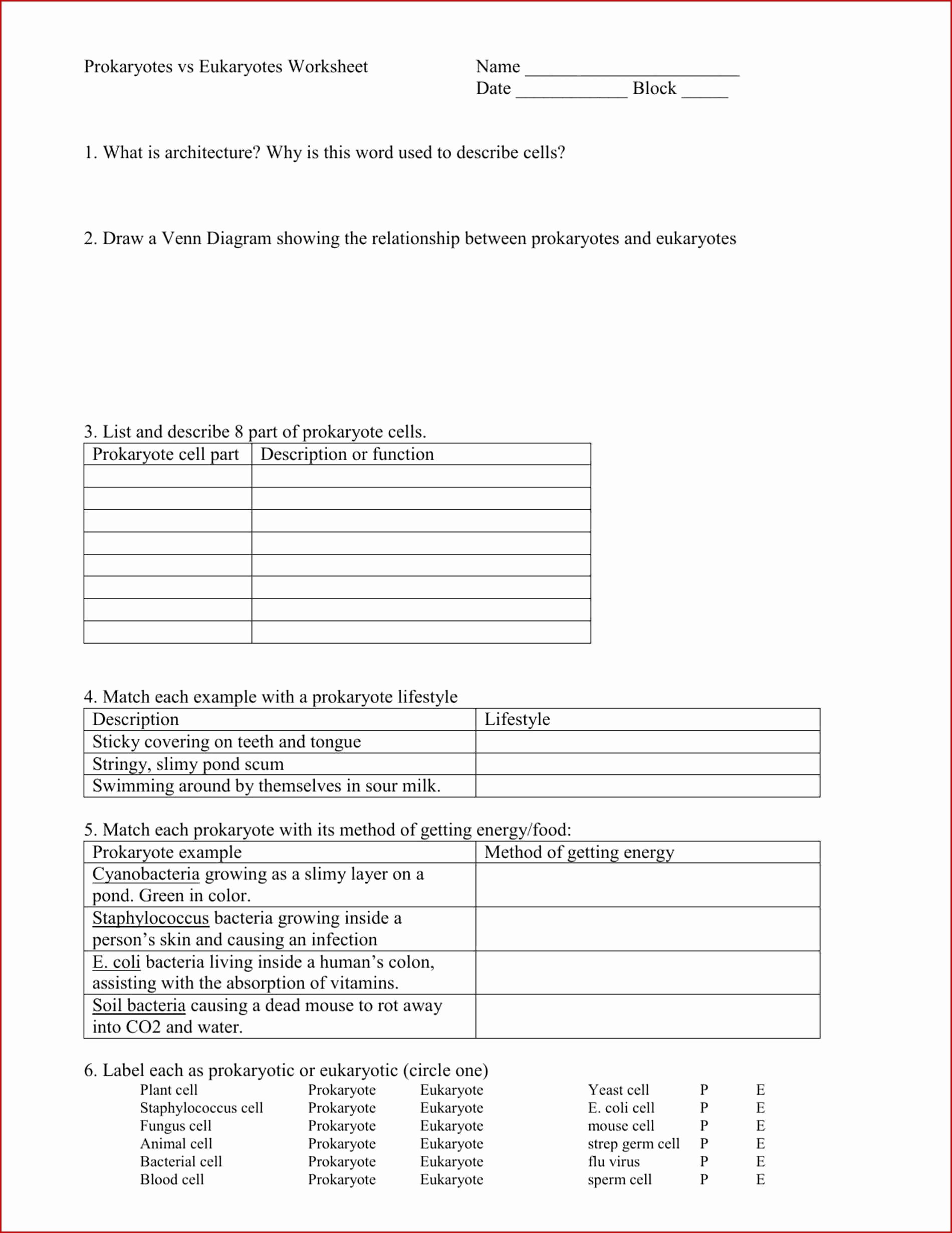 50 Cell Membrane Images Worksheet Answers