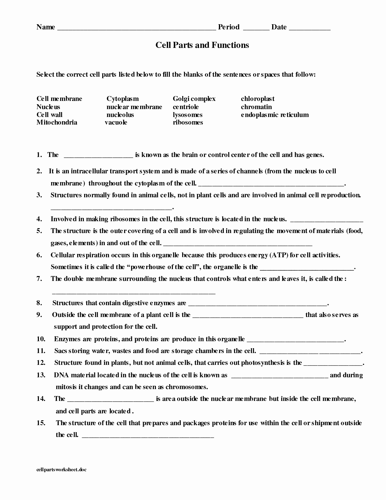 50 Cell Organelles Worksheet Answer Key Chessmuseum Template Library