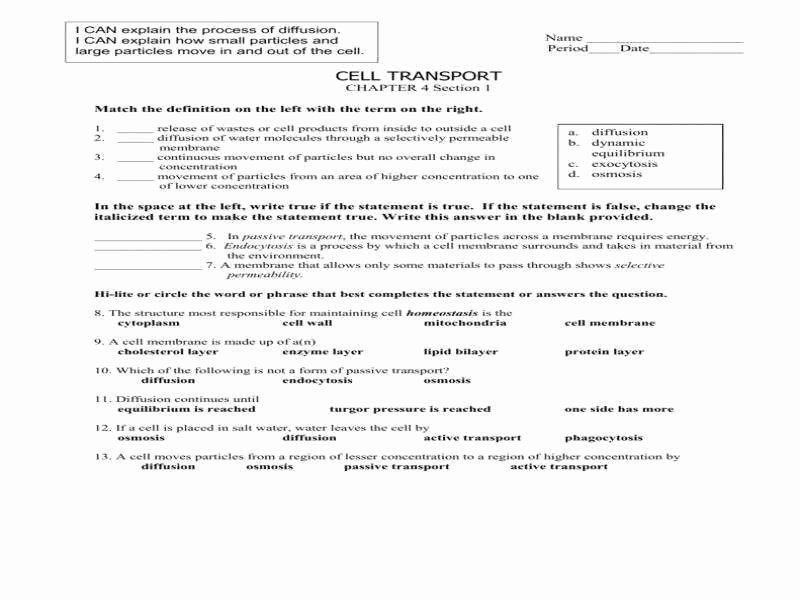 50 Cell Transport Review Worksheet Answers 50 Cell Transport Review Worksheet Answers