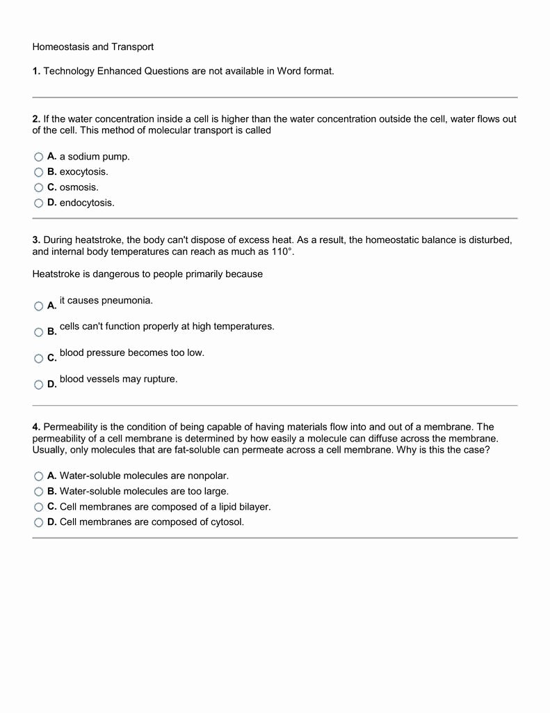 Alpha Worksheet Cell A1