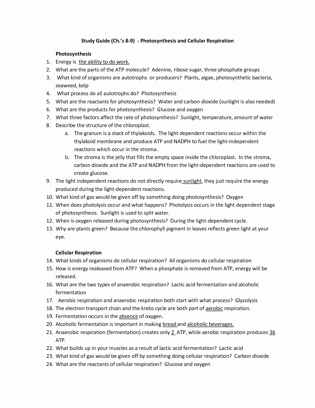 50 Cellular Respiration Worksheet Answer Key 50 Cellular Respiration Worksheet Answer Key