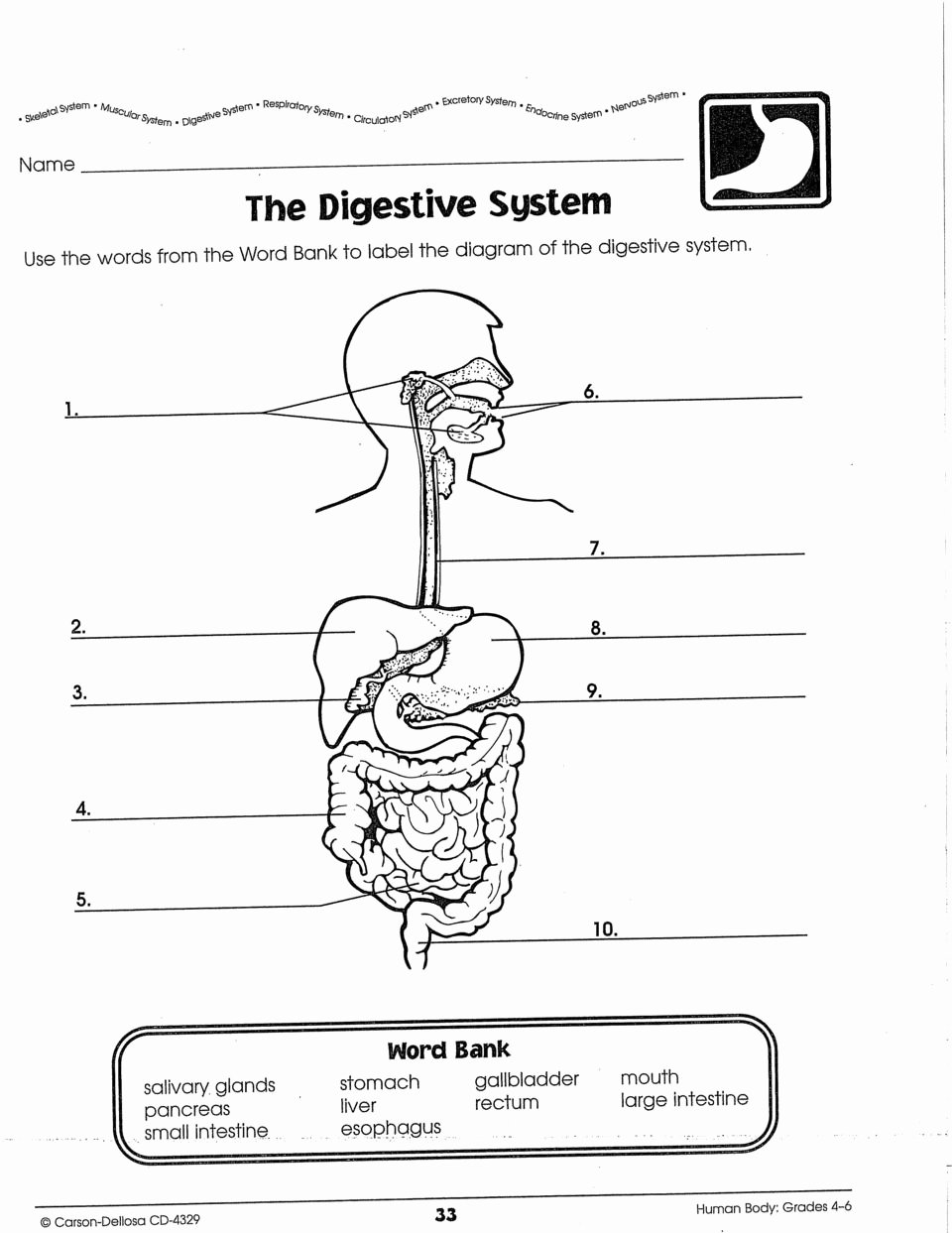 Digestive System Gizmo Answer Key Pdf Digestive System Gizmo Quiz Digestive System Gizmo Answer Key Pdf Digestive System Gizmo Quiz