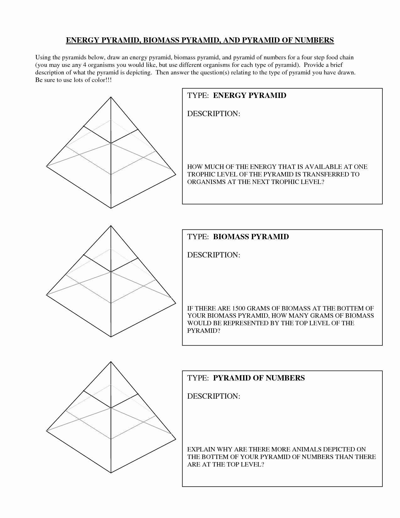 50 Ecological Pyramids Worksheet Answer Key 50 Ecological Pyramids Worksheet Answer Key