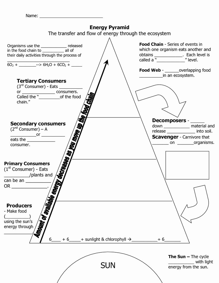 50 Ecological Relationships Worksheet Answers 50 Ecological Relationships Worksheet Answers