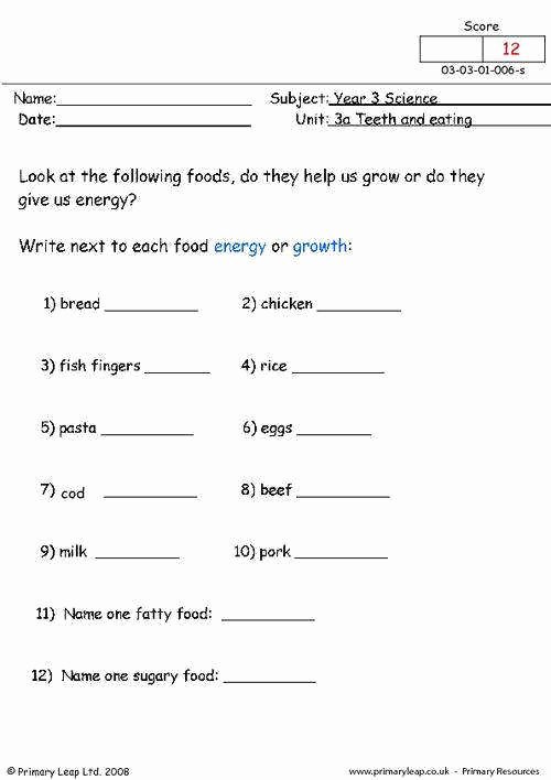 50 Energy Transformation Worksheet Answer Key