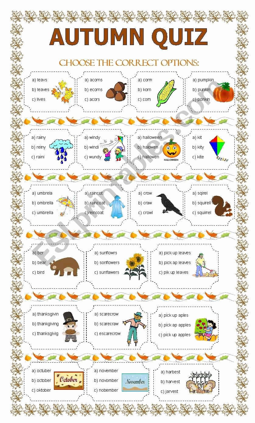 50 Free Fall Worksheet Answers