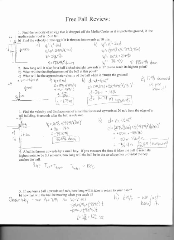 50 Free Fall Worksheet Answers Chessmuseum Template Library