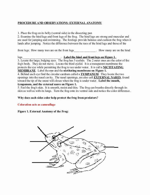 50 Frog Dissection Pre Lab Worksheet 50 Frog Dissection Pre Lab Worksheet