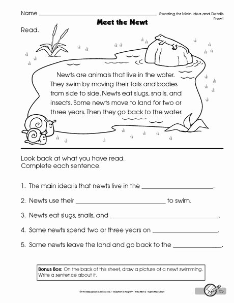 50 Main Idea Worksheet 2nd Grade 50 Main Idea Worksheet 2nd Grade