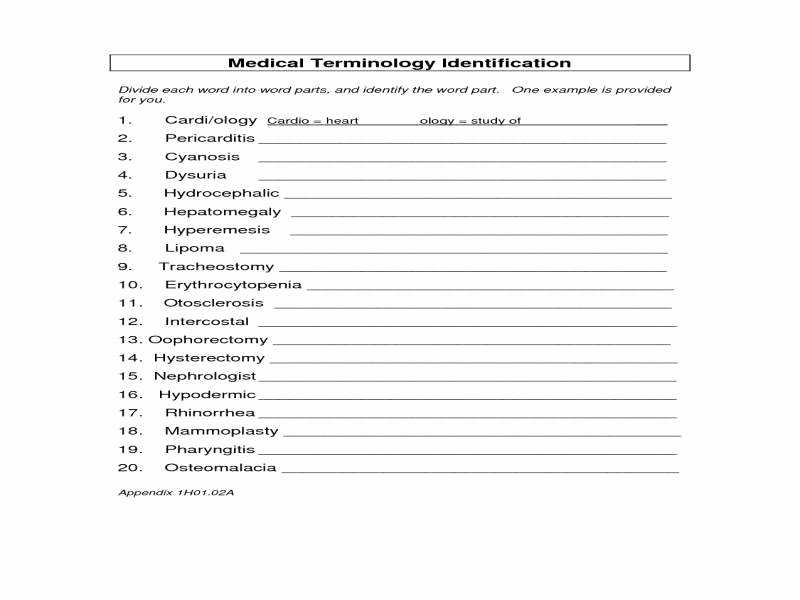 50 Medical Terminology Abbreviations Worksheet 50 Medical Terminology Abbreviations Worksheet