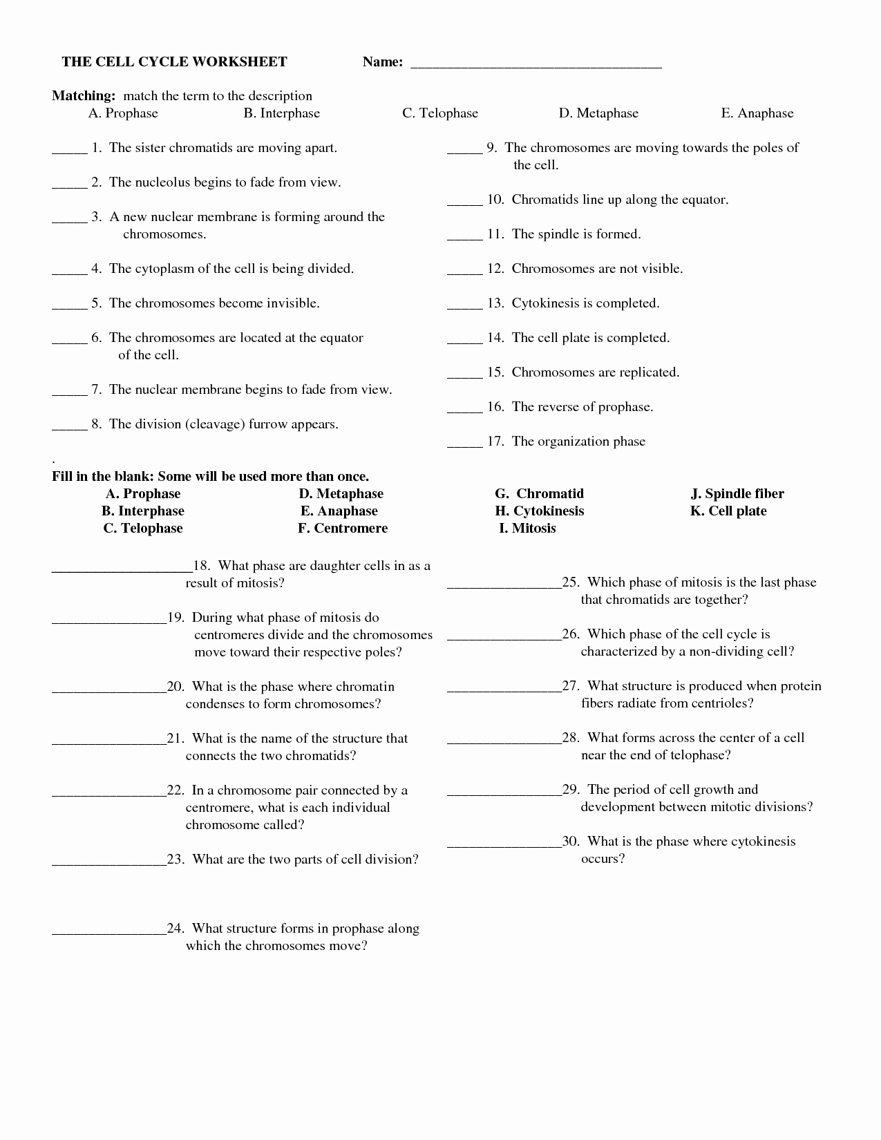 50 Meiosis Matching Worksheet Answer Key
