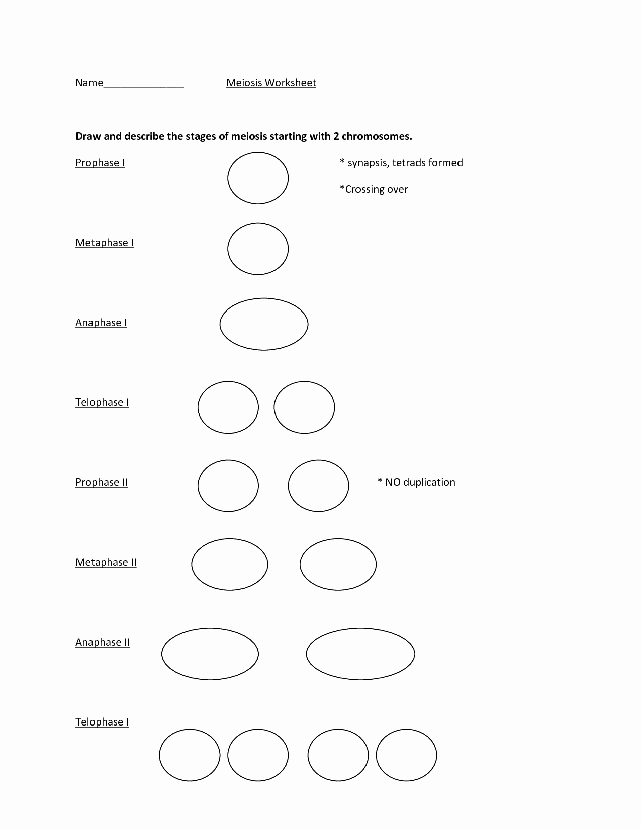 Meiosis 1 And 2 Worksheet Answers Wiseinspire Meiosis 1 And 2 Worksheet Answers Wiseinspire
