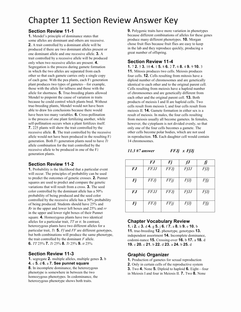 50 Meiosis Worksheet Vocabulary Answers 50 Meiosis Worksheet Vocabulary Answers