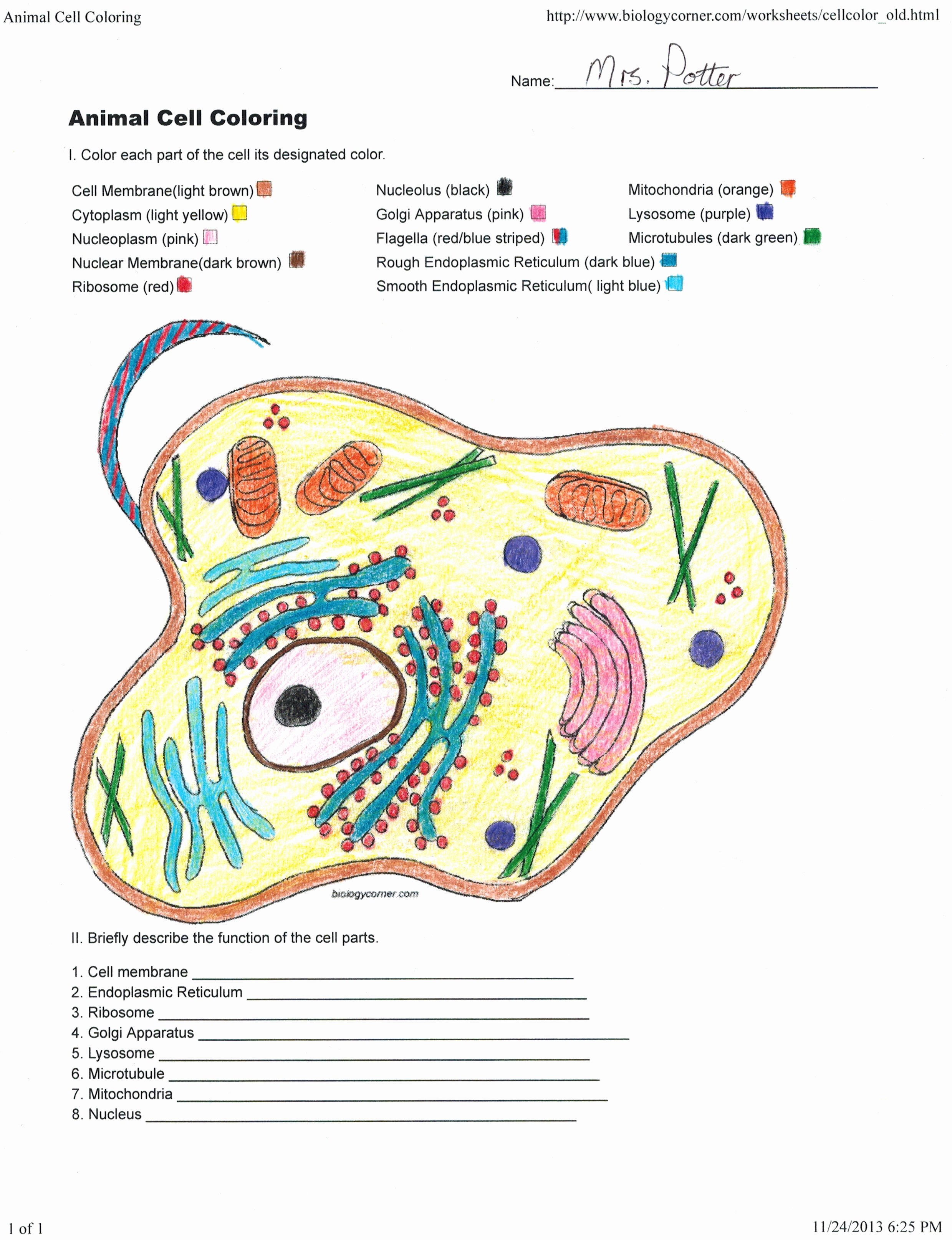 The Cell Coloring Worksheet