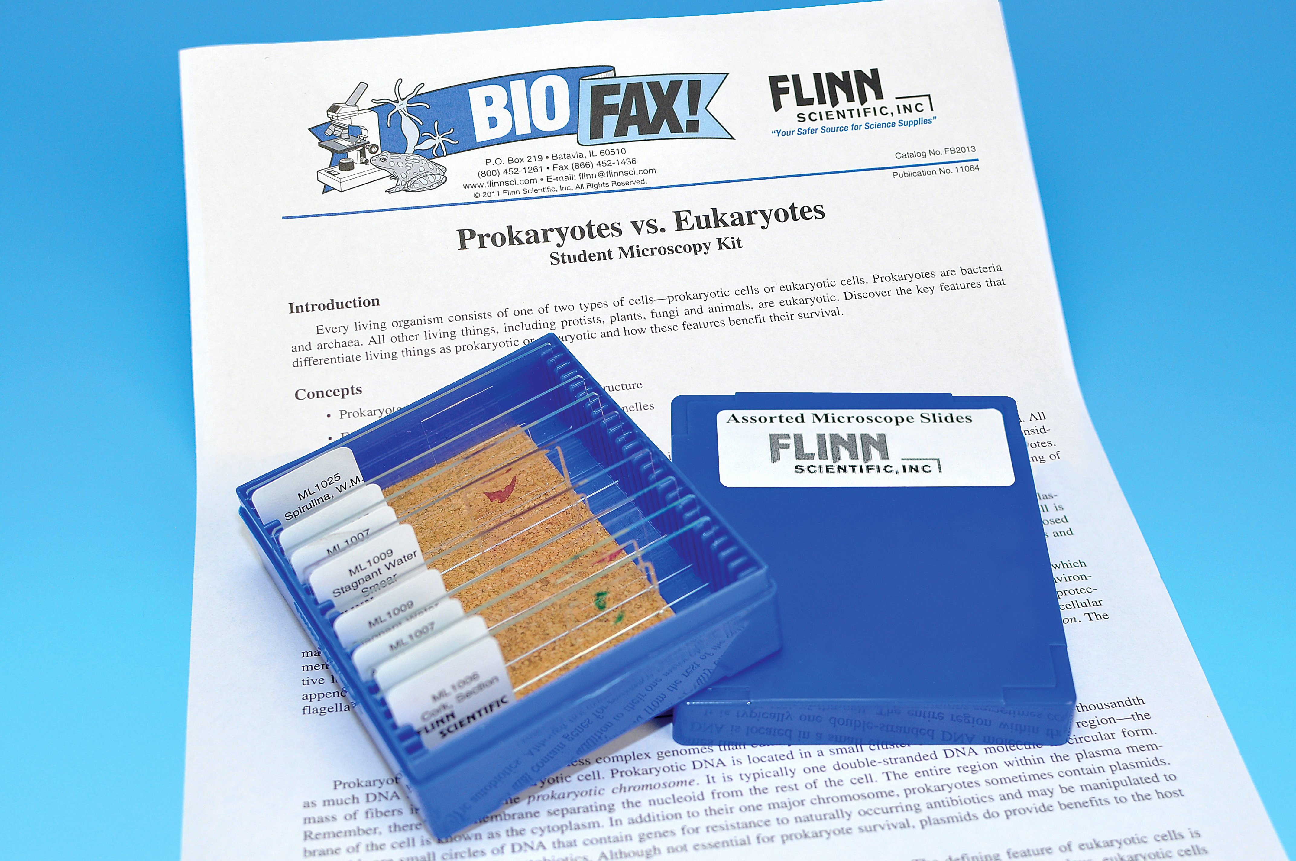 50 Prokaryotes Vs Eukaryotes Worksheet 50 Prokaryotes Vs Eukaryotes Worksheet