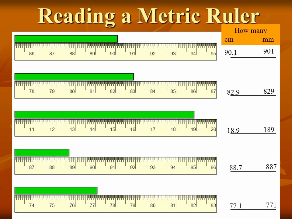 47 Reading A Metric Ruler Worksheet Chessmuseum Template Library