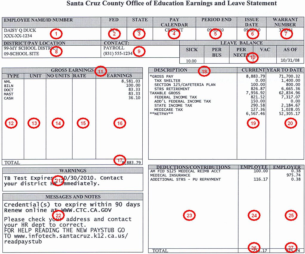 50 Reading A Pay Stub Worksheet