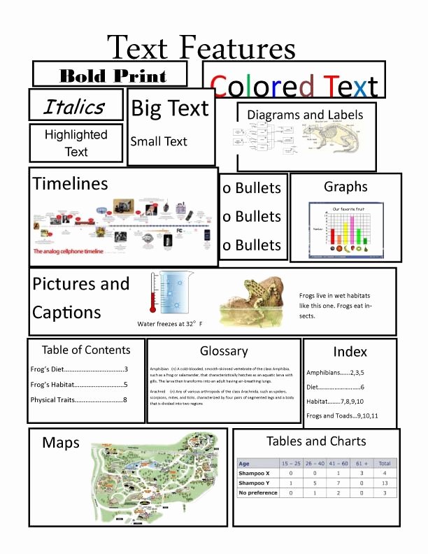Text Features Worksheet 3rd Grade
