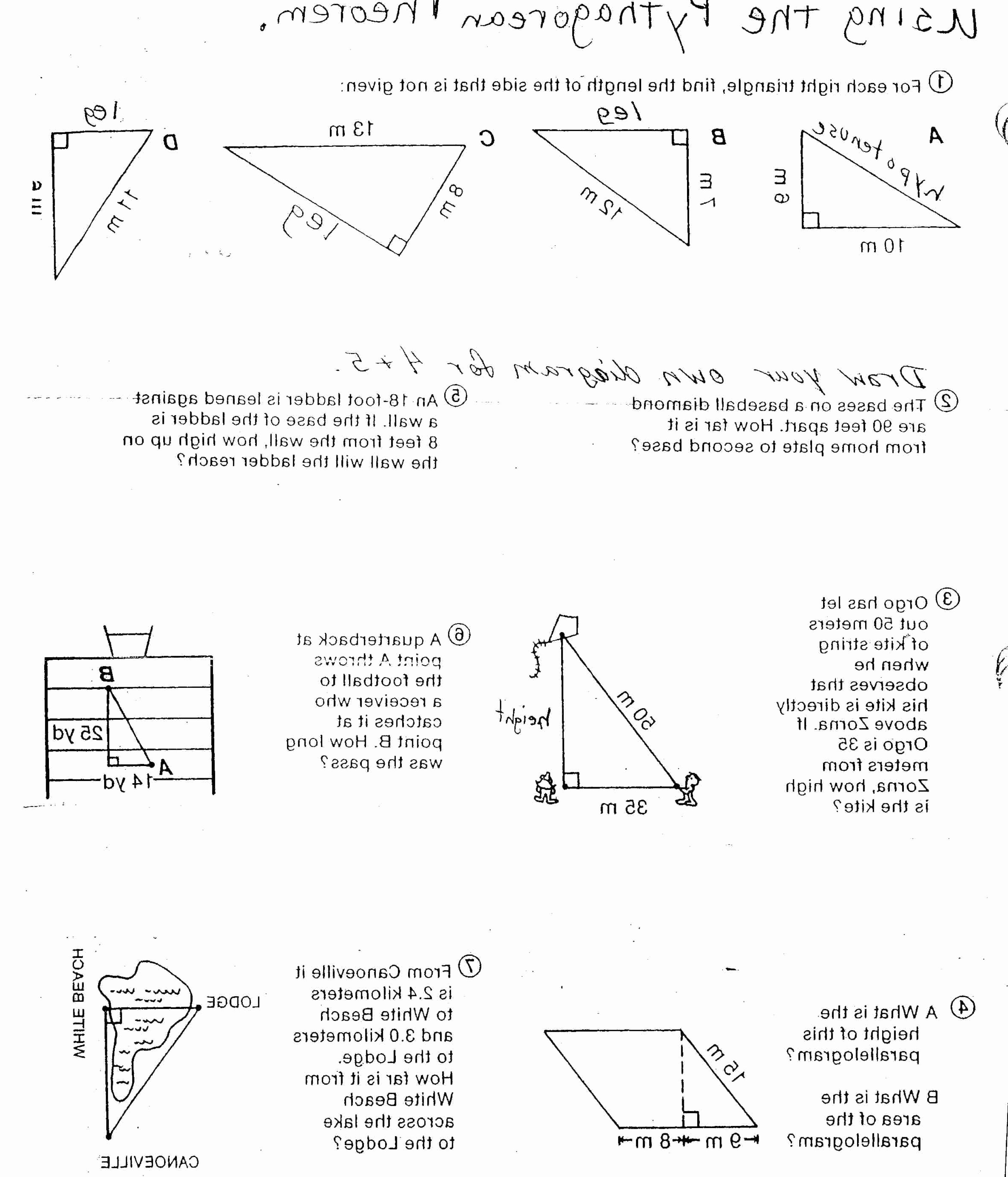 50 Vector Worksheet Physics Answers 50 Vector Worksheet Physics Answers