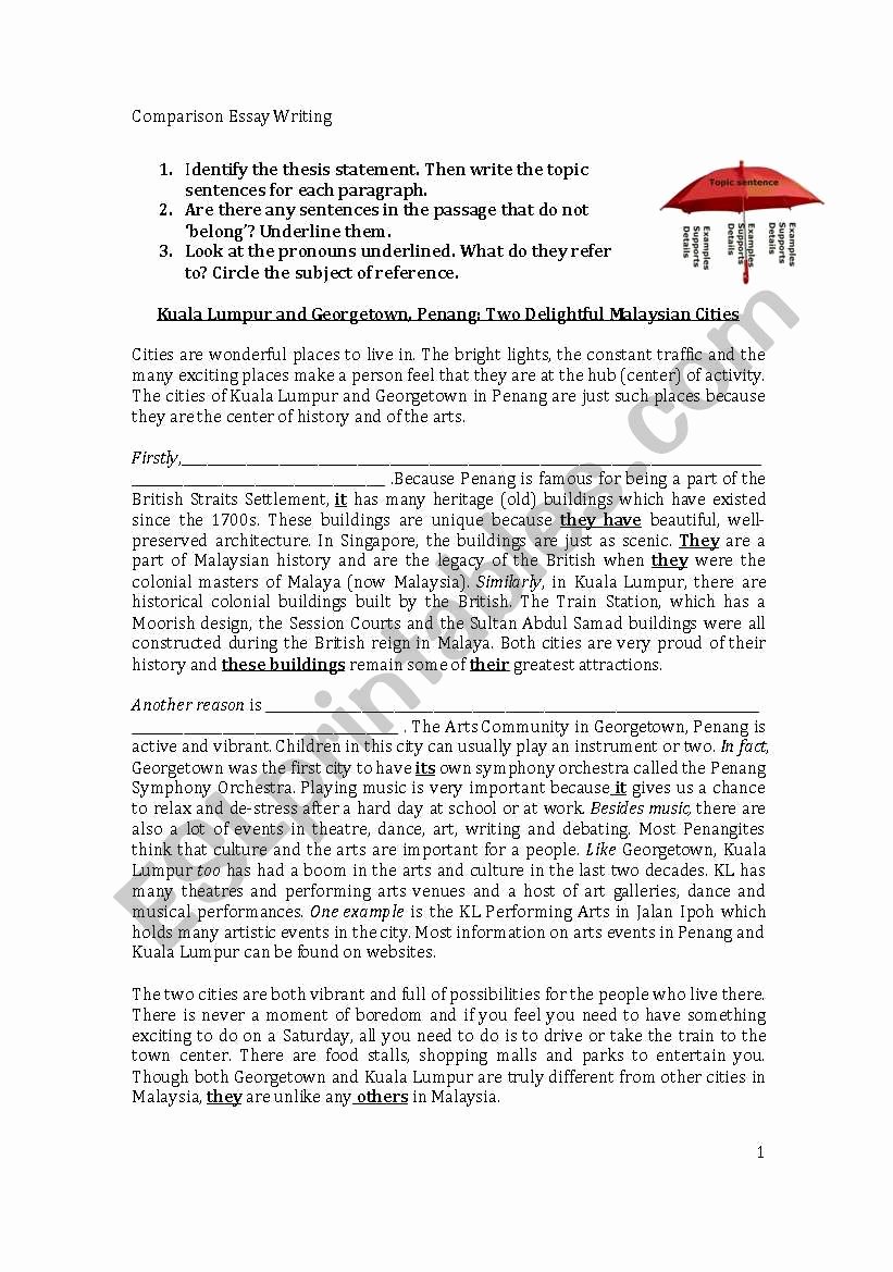 50 Writing A Topic Sentence Worksheet